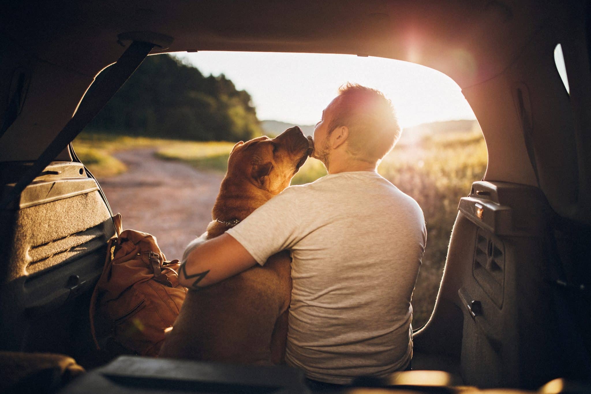 Contact - Nortex Communications